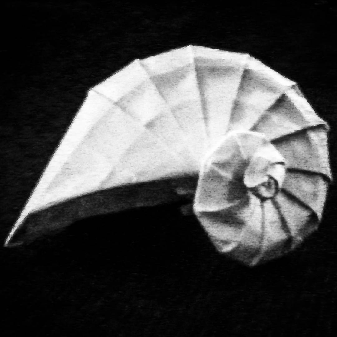 Origami | Ilya Zadornov